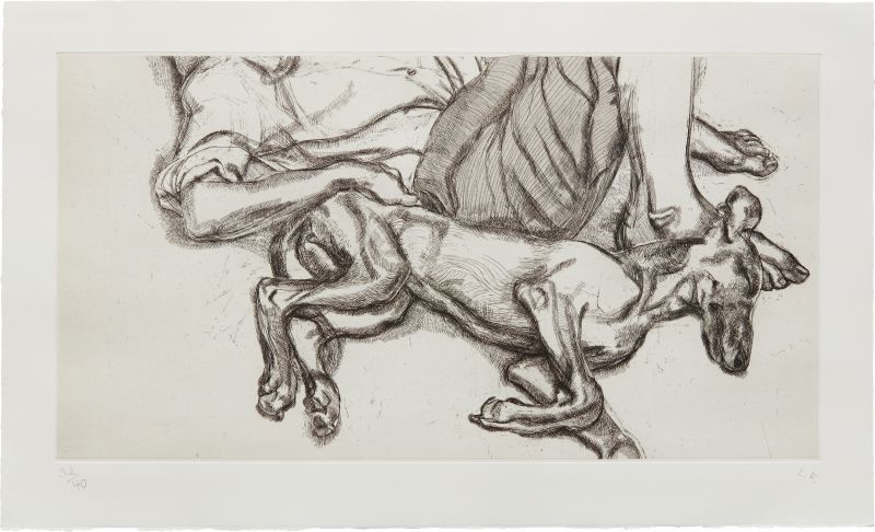 Lucian Freud: Pluto - Sammlung - Museum für Gegenwartskunst Siegen